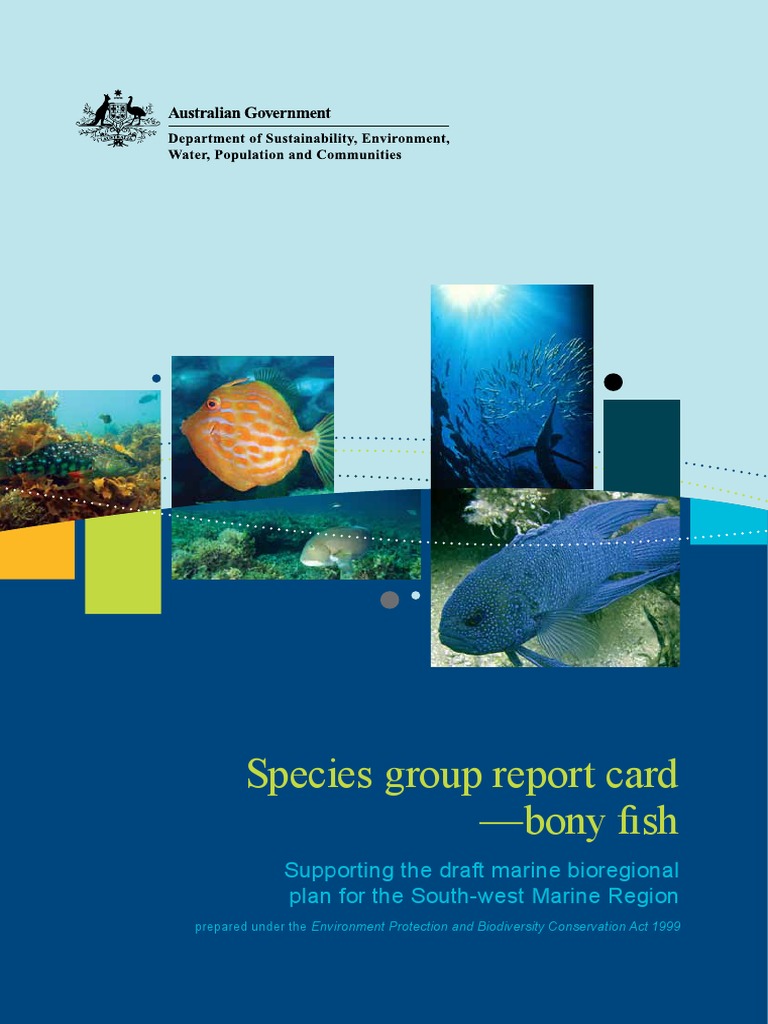 Report Card Bonyfish | Download Free PDF | Spawn (Biology) | Pollution