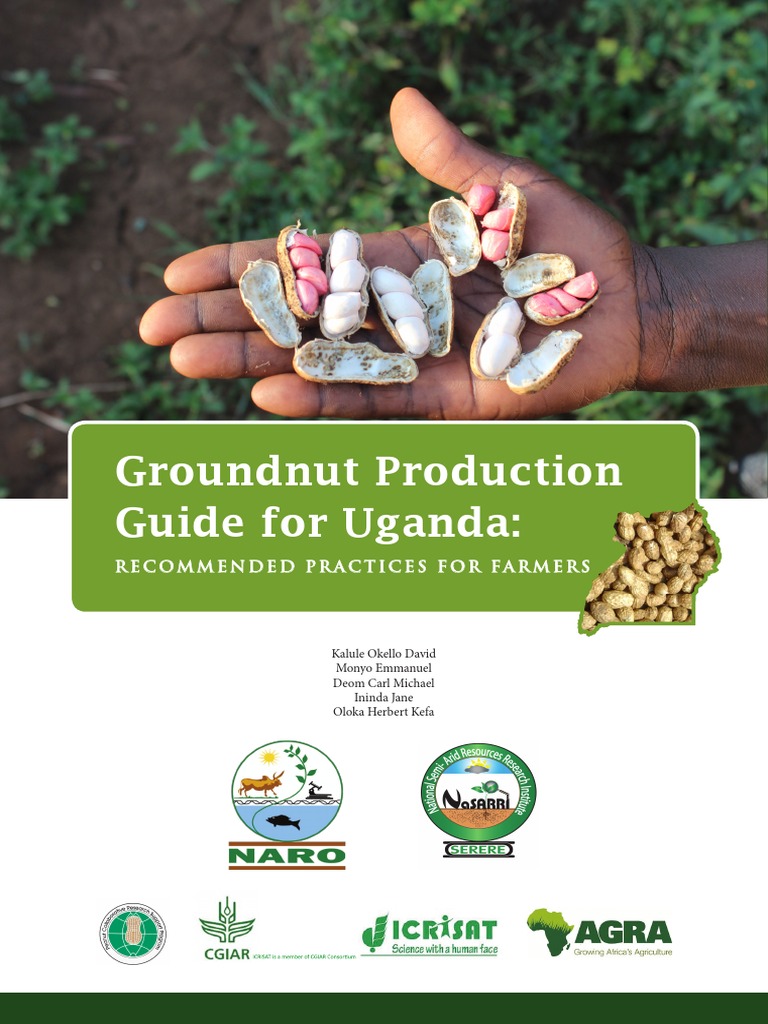 Groundnut Production Guide - Recommended Practices For Farmers | PDF ...