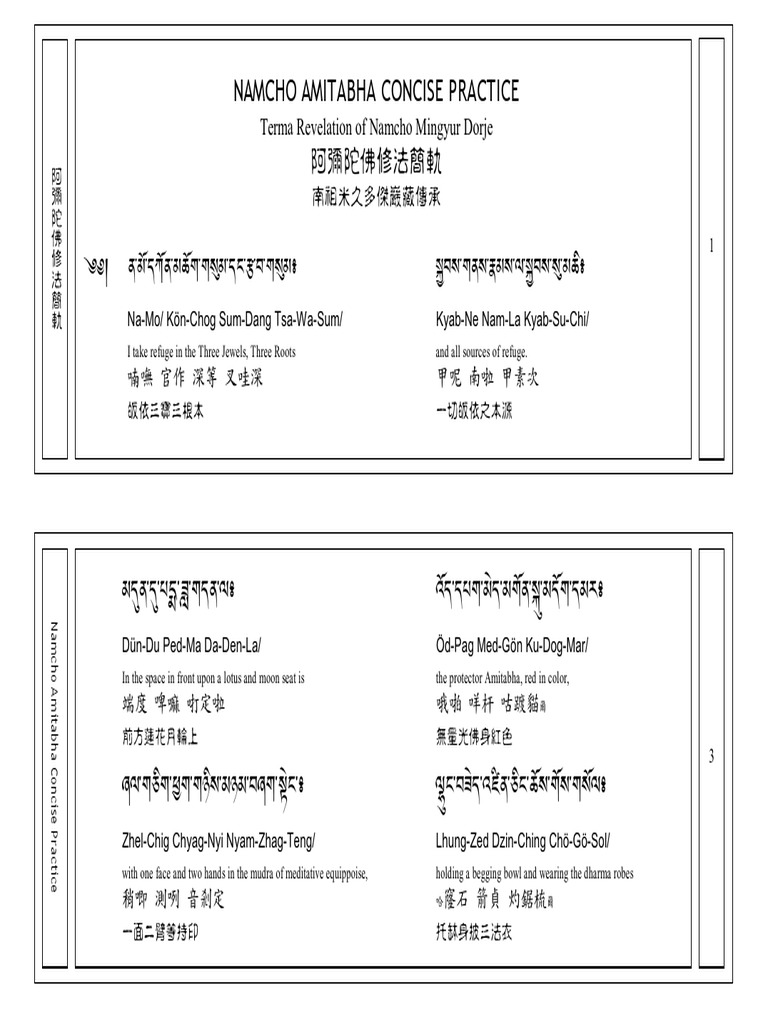 Short Ami C | PDF