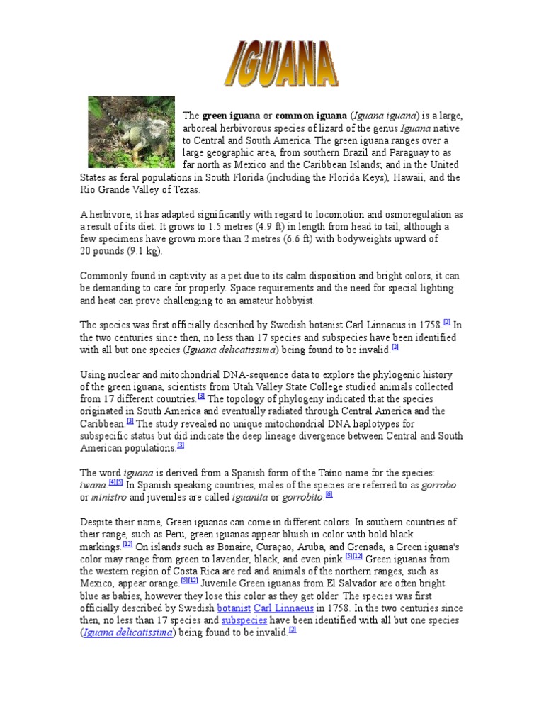 Green Iguana: Care and Characteristics | PDF | Nature