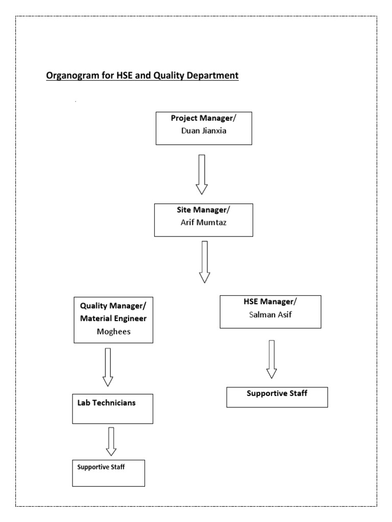 Organogram For HSE and Quality Department: Project Manager | PDF