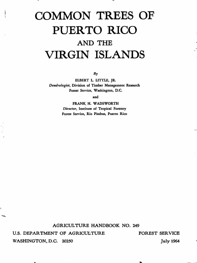 Common Trees of Puerto Rico and The Virgin Islands | PDF | Plants ...