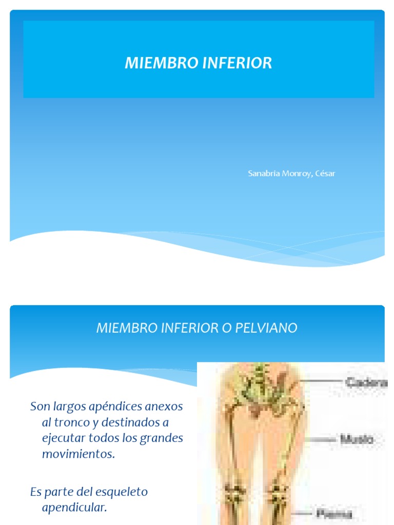 Miembro Inferior | PDF | Tobillo | Cadera