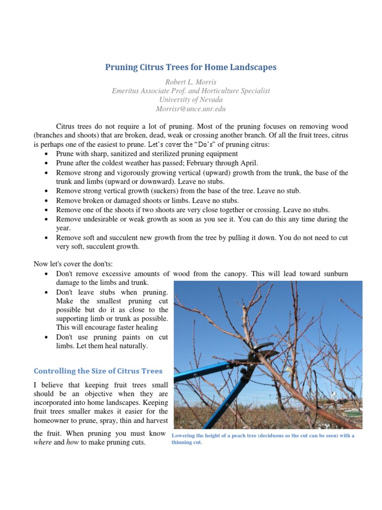 Home Citrus Tree Pruning Guide | PDF | Pruning | Trees