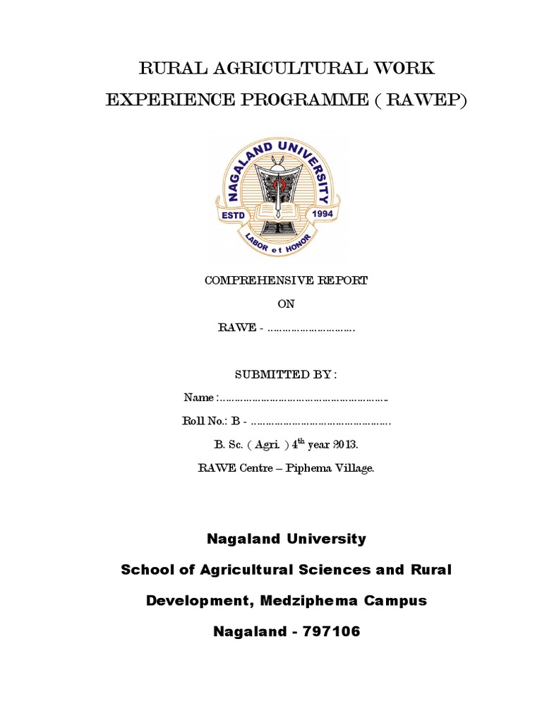 RAWE Programme Report 2013 | PDF
