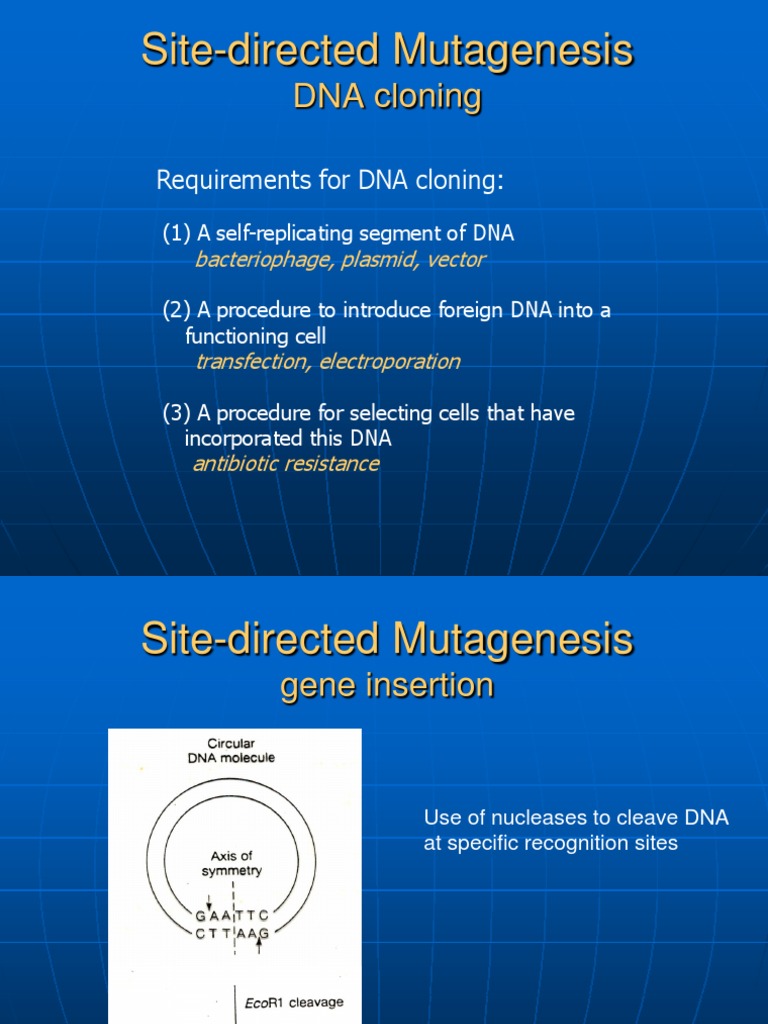 Mutagenesis | PDF | Molecular Cloning | Plasmid