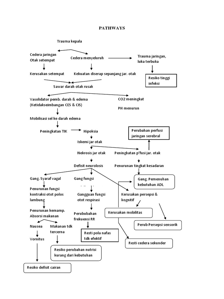Pathways Cedera Kepala | PDF