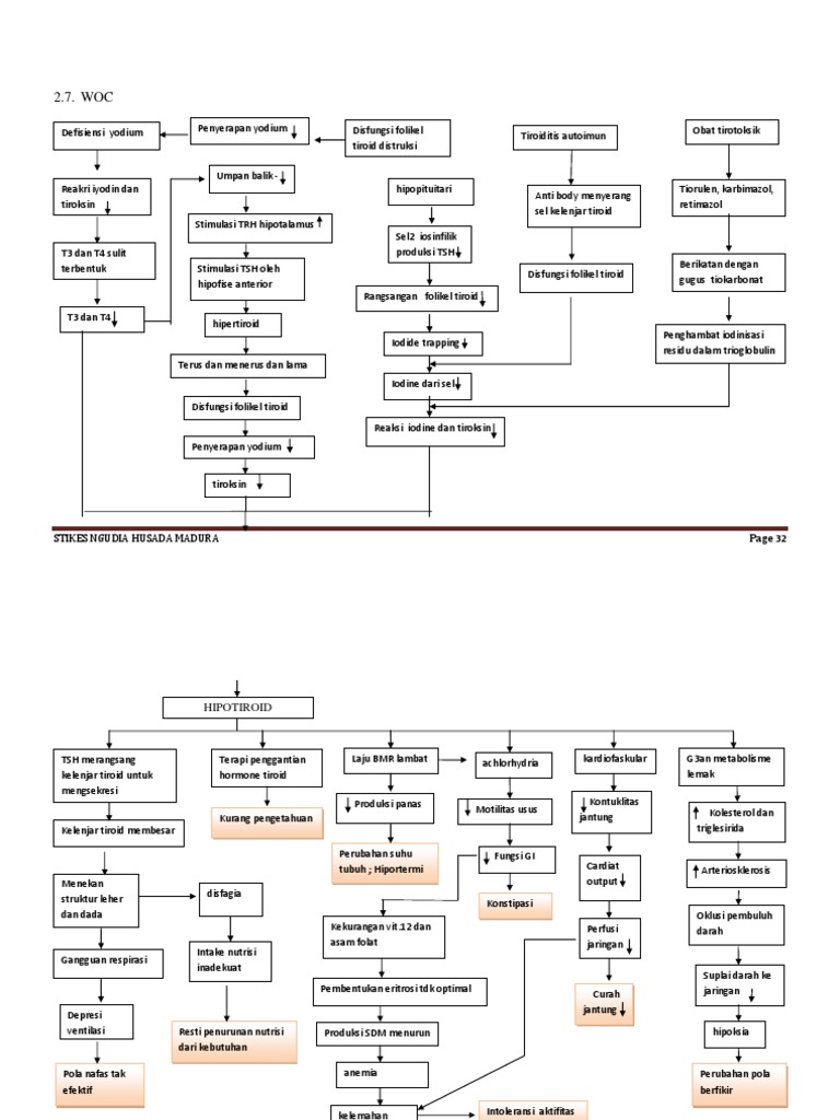 Pathway Hipotiroid dan Hipertiroid | PDF | Kesehatan Holistik | Sains ...