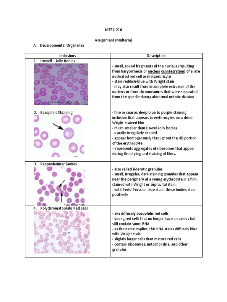 Hemoglobin Inclusion Bodies
