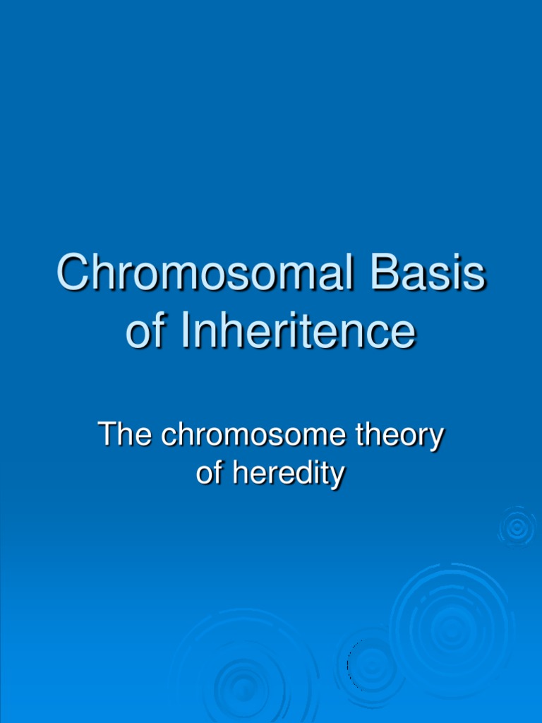 Chromosomal Basis Of Inheritence The Chromosome Theory Of Heredity