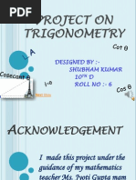 Maths Project Class 10 | PDF | Probability | Experiment