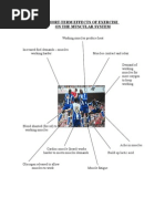 Badminton Observation Checklist | PDF | Behavior Modification ...