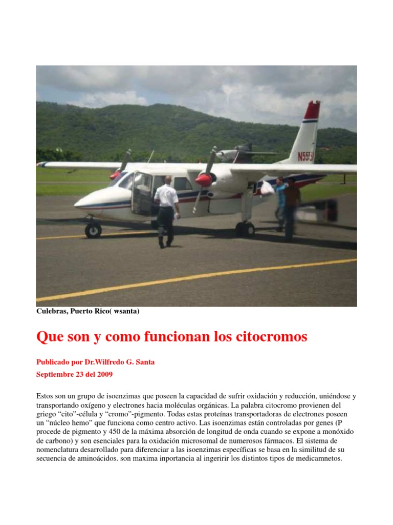Que Son y Como Funcionan Los Citocromos | PDF | Medicamentos con receta ...