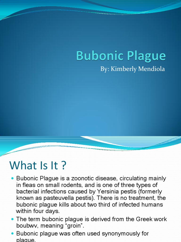 Bubonic Plague Period 4 | PDF