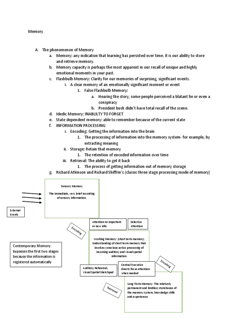 Memory Outline | PDF | Memory | Recall (Memory)