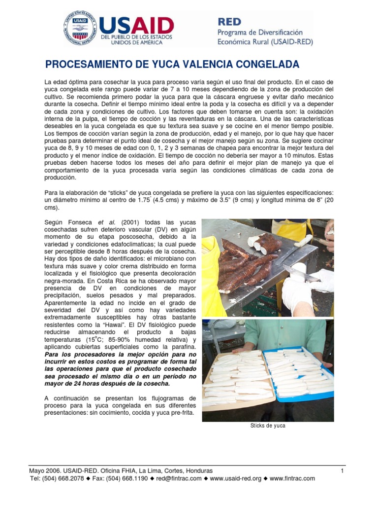 Procesamiento de Yuca Valencia Congelada | PDF | Aluminio | Fritura