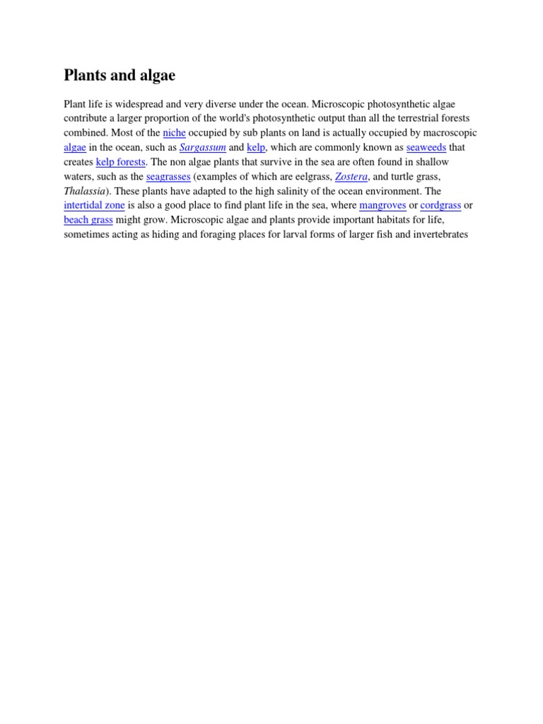Plants and Algae: Niche Algae Kelp Seaweeds Kelp Forests Seagrasses | PDF