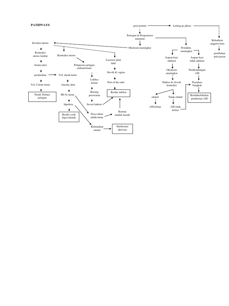 Pathway Post Partum | PDF