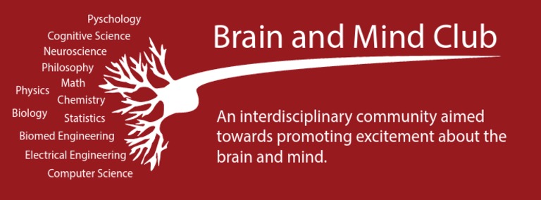Brain and Mind Club Overview | PDF