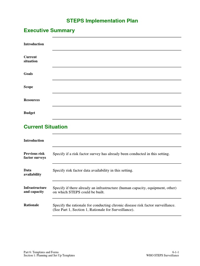STEPS Implementation Plan Executive Summary | PDF | Surveillance | Risk