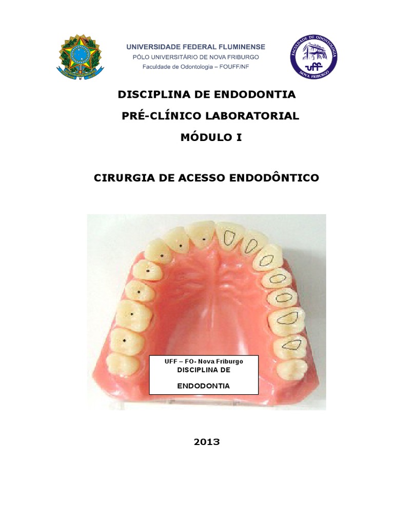 Cirurgia de Acesso Endodontico - 2013 | PDF | Dente | Dentina