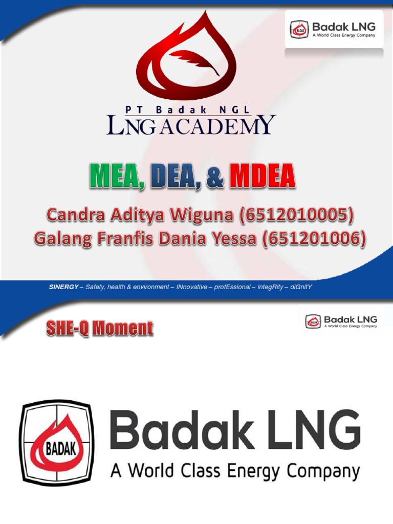 Mea, Dea & Mdea | PDF