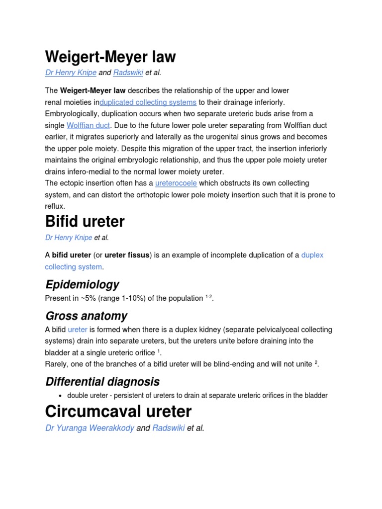 The Weigert-Meyer Law: Describing the Relationship Between Upper and ...