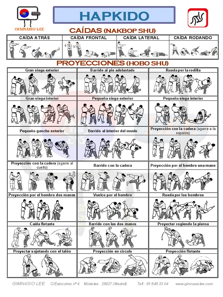 Proyecciones Lee Hapkido | PDF
