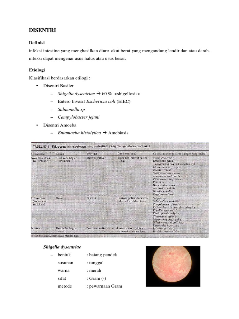 Case 1 Disentri | PDF