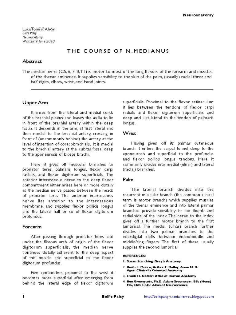 The Course of N Medianus | PDF | Limbs (Anatomy) | Human Anatomy