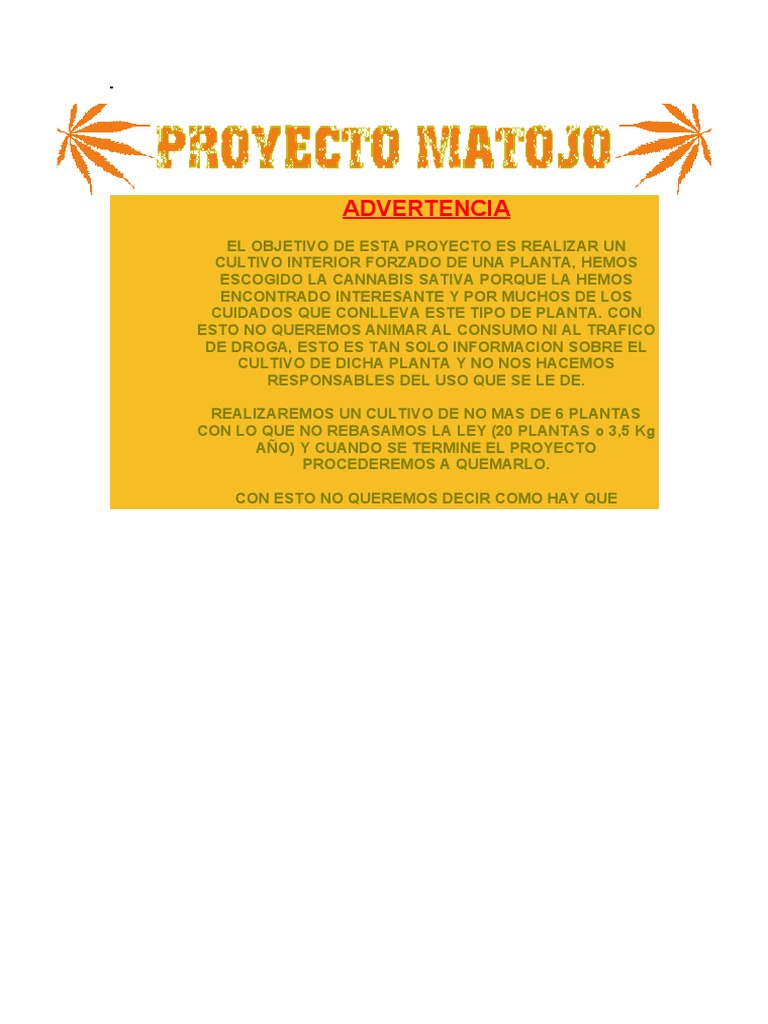 Proyecto Matojo | PDF | Plantas | Hoja