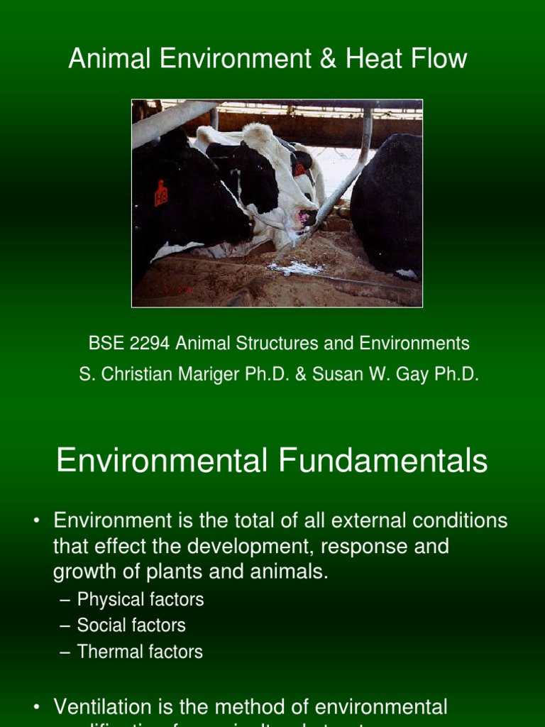 Animal Environment & Heat Flow | PDF | Convection | Heat