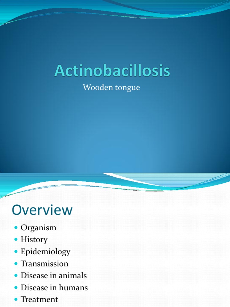 Actinobacillosis | PDF | Lesion | Tongue