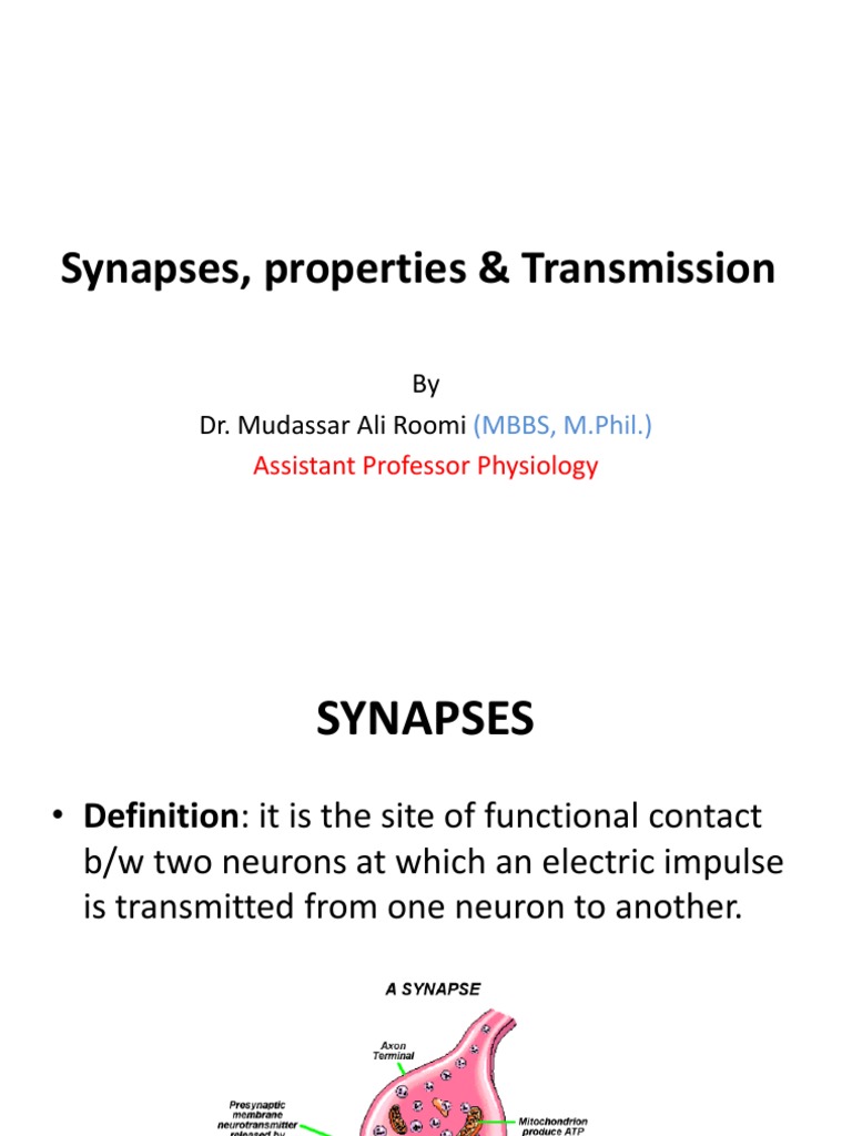 Lecture Synapses, Properties & Transmission Dr. Roomi | PDF | Chemical ...