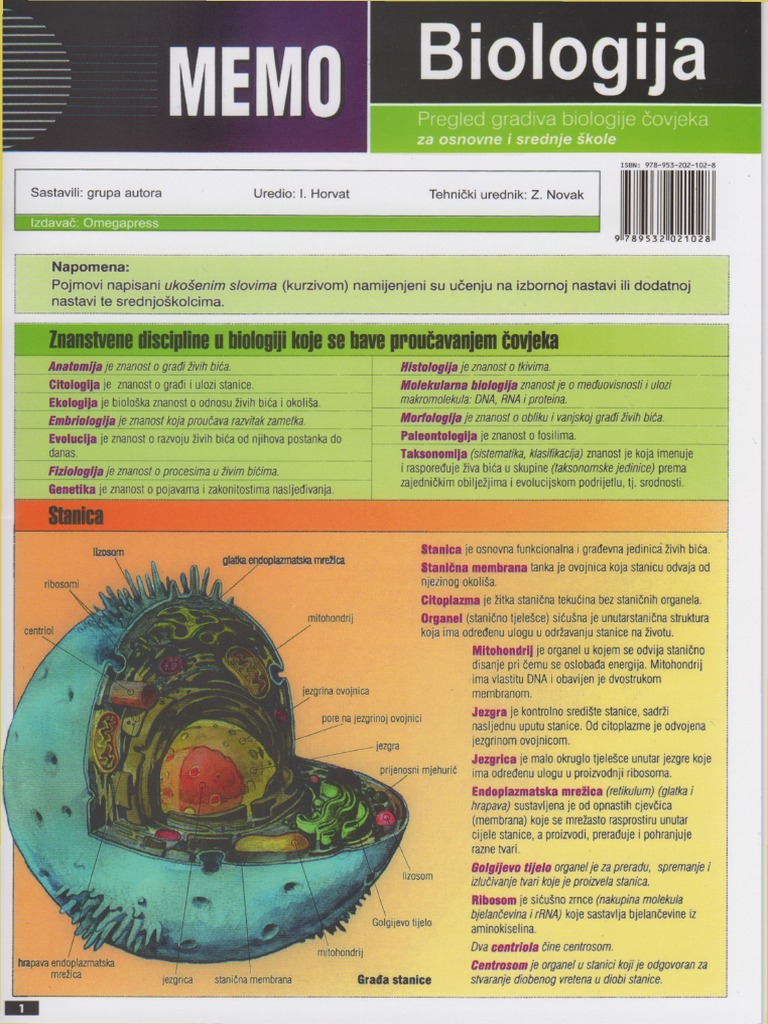 Memo Tablice Za Osnovne I Srednje Škole | PDF