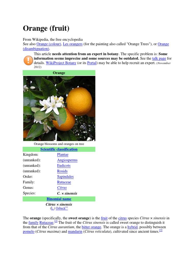 Orange Download Free Pdf Orange Fruit Citrus