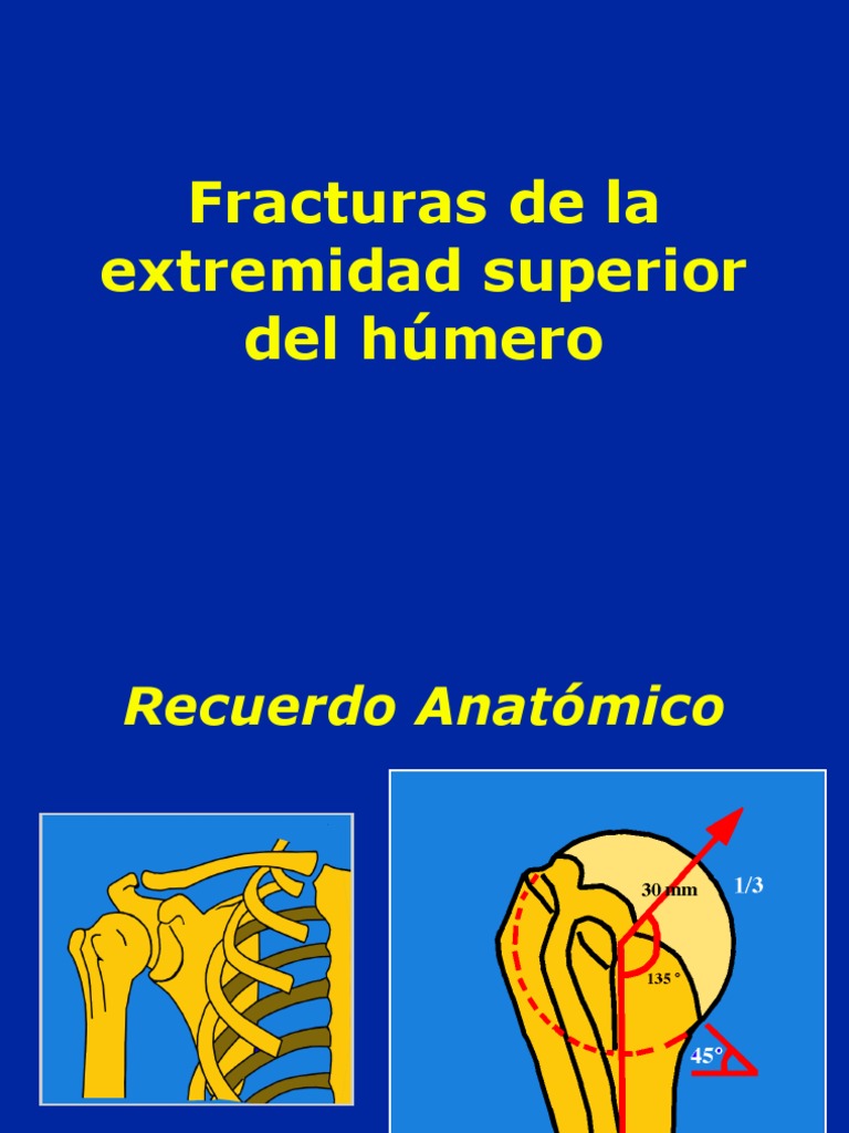 05 - Fracturas Del Humero | PDF | Hombro | Enfermedades y trastornos