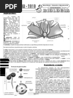 Mapa Mental - Angiospermas 1 - Biologia | PDF