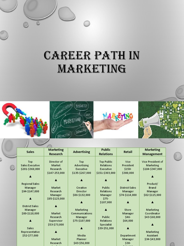 Marketing Career Path Overview | PDF | Public Relations | Sales