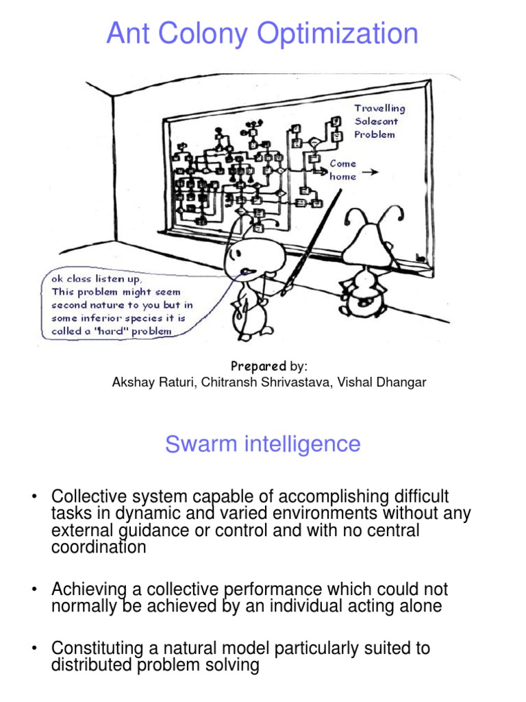 Final Ant Colony | PDF | Applied Mathematics | Theoretical Computer Science