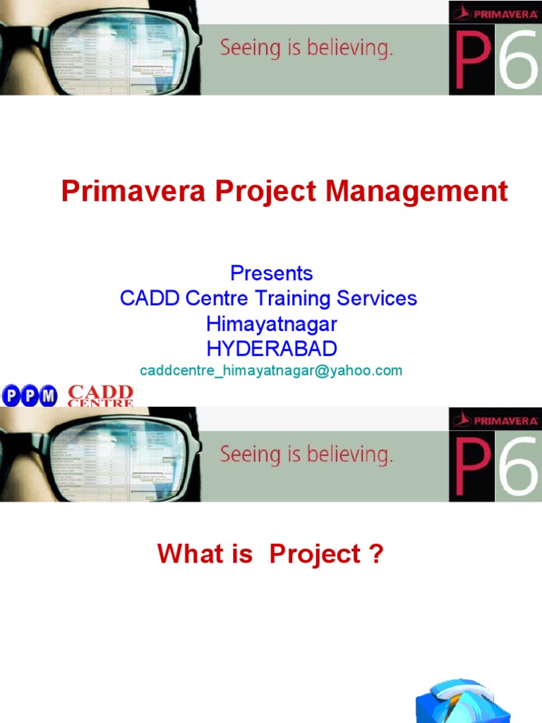 Primavera Project Management | PDF