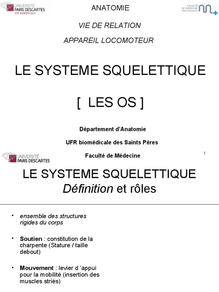 Anatomie du Système Locomoteur | PDF | Appareil locomoteur | Système ...