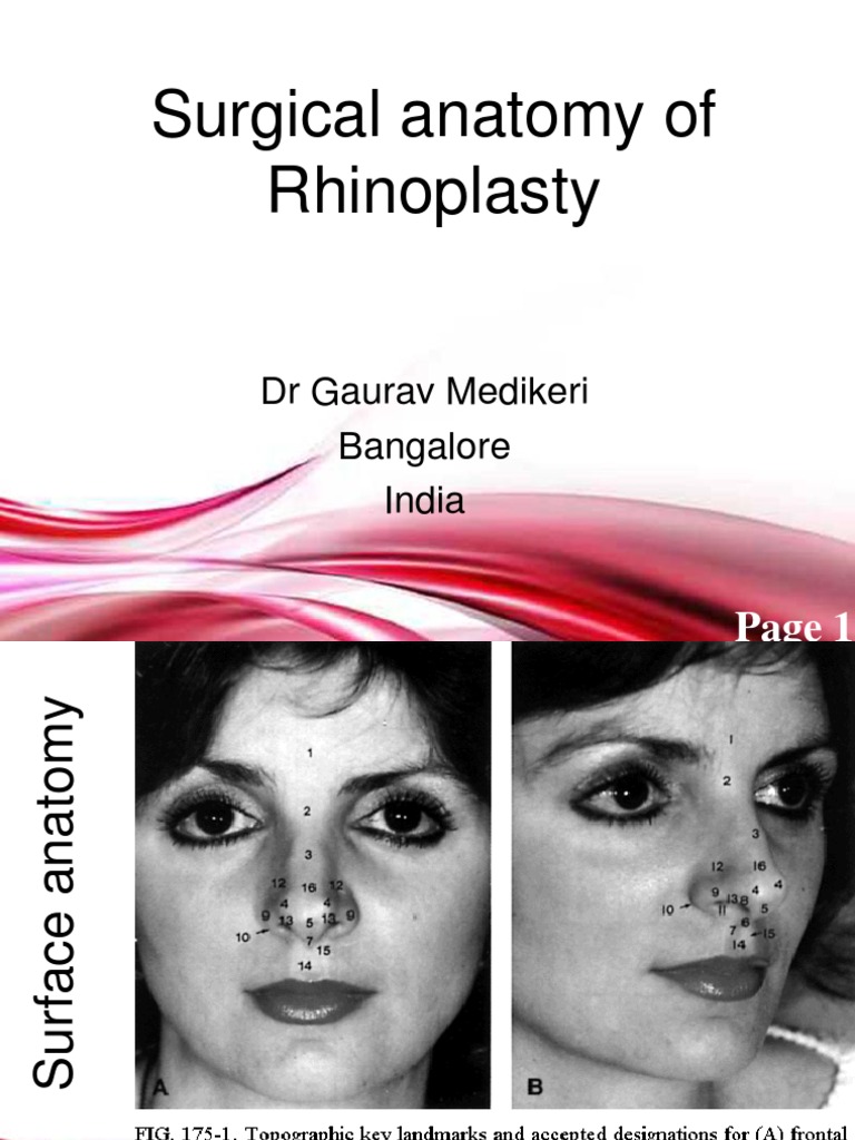 Rhinoplasty Anatomy | PDF | Human Nose | Human Leg