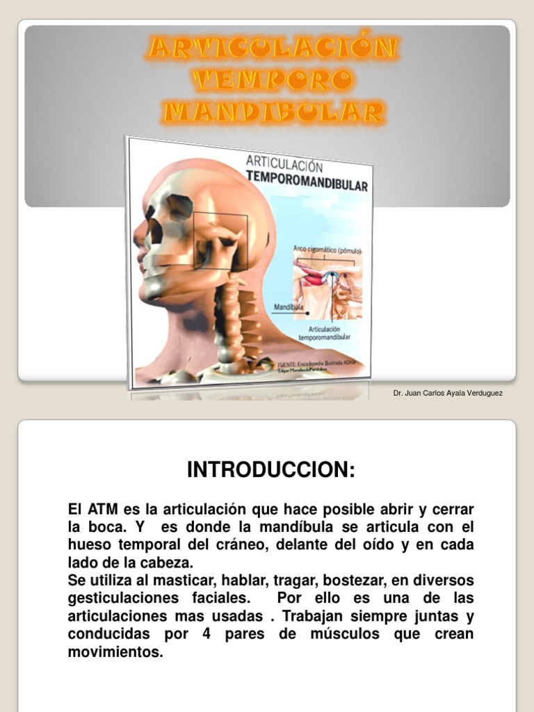 Atm Musculos Masticadores | PDF | Articulación | Anatomía humana
