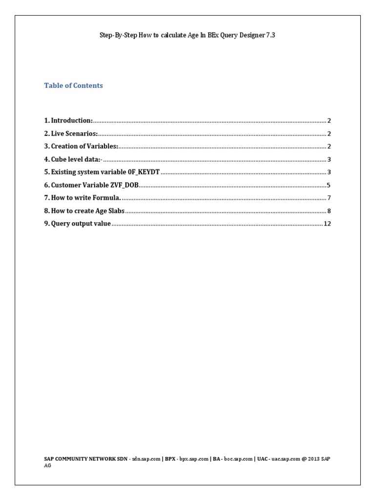 Step By Step How To Calculate Age In Bex Query Disigner 73 Document Pdf Variable Computer