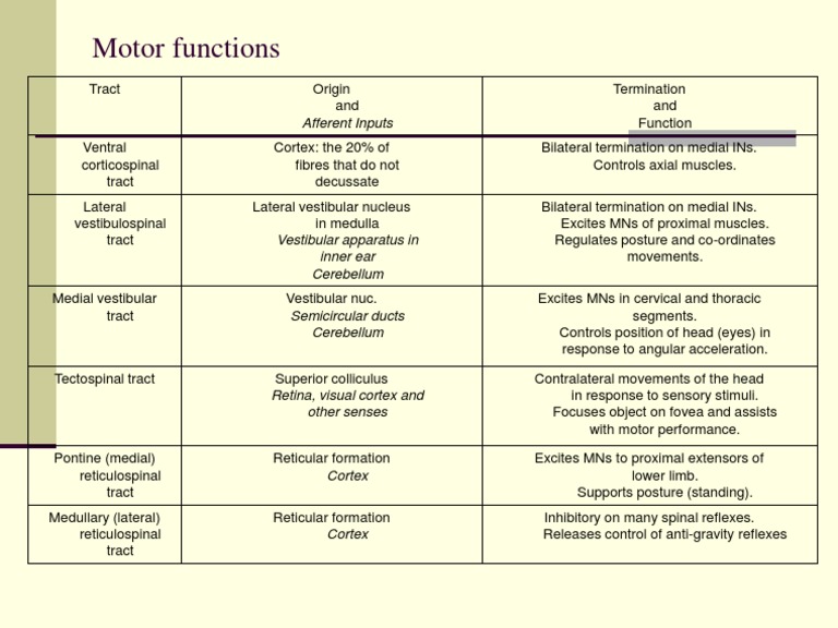 Motor Functions | PDF