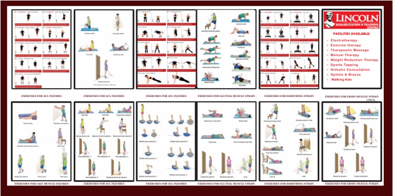 Injury Rehabilitation Exercise Guide | PDF