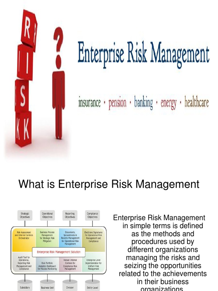 Understanding Enterprise Risk Management | PDF | Enterprise Risk ...