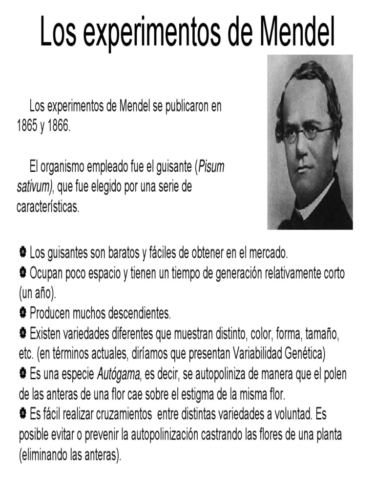 Experimentos de Mendel con Guisantes | PDF | Dominancia (Genética ...