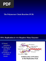 Q5 High-Fidelity PCR Protocol Guide | PDF | Polymerase Chain Reaction ...